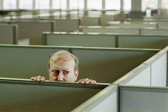Cubicle Crimes