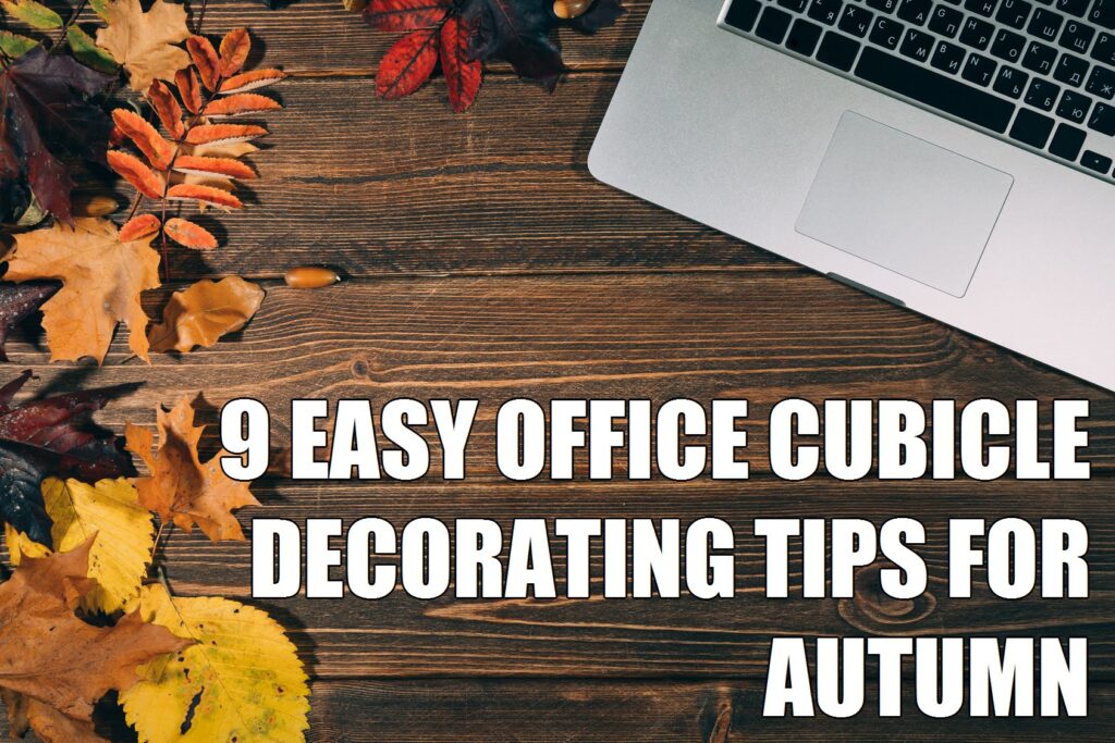 9 Easy Office Cubicle Decorating Tips for Autumn
