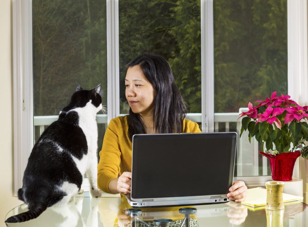 A Guide To Working At Home With Cats
