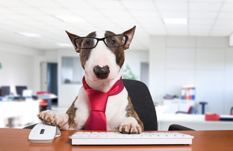 The Office Dog - Pros and Cons